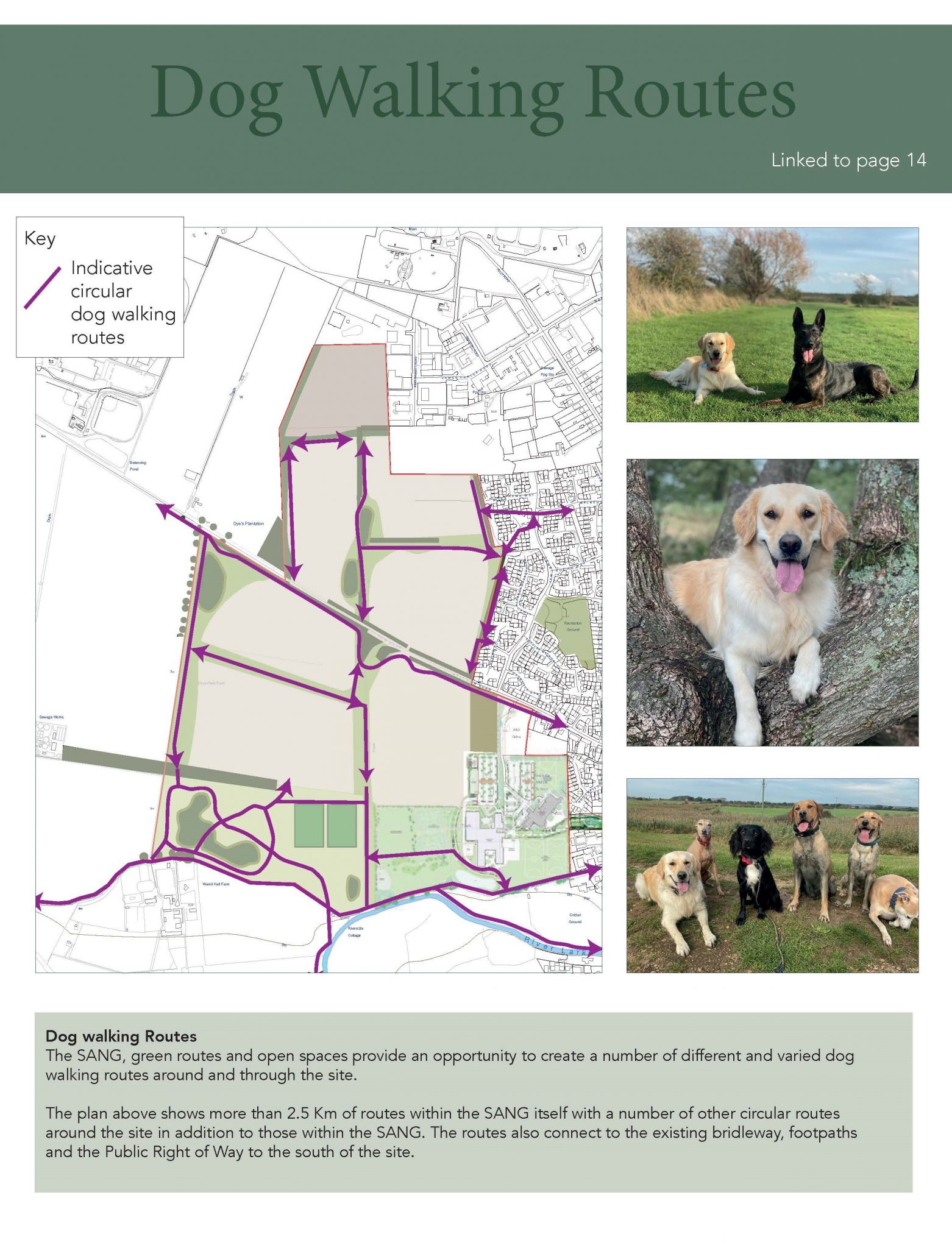 Dog Walking Routes – Land West of Mildenhall